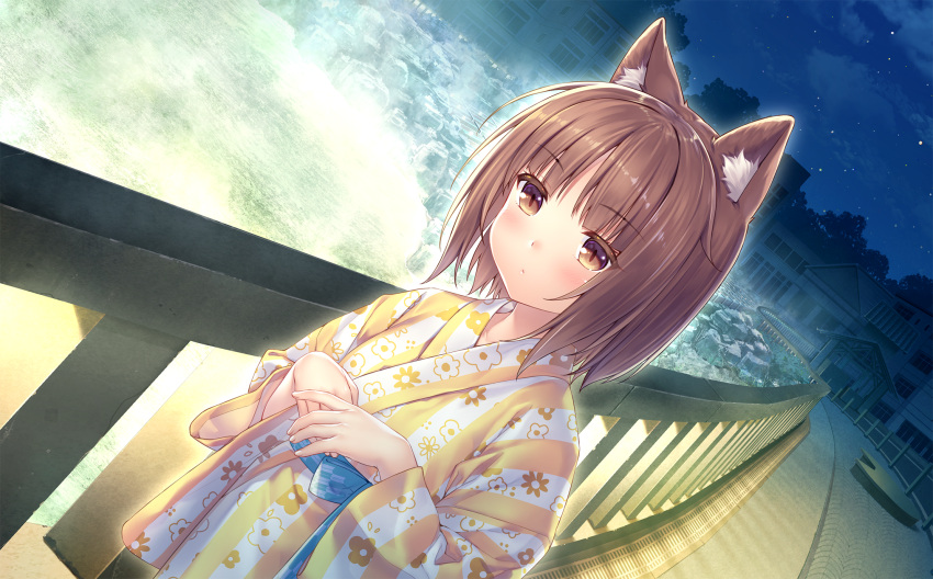Safebooru - animal ears azuki (nekopara) cat ears cat girl cat tail ...