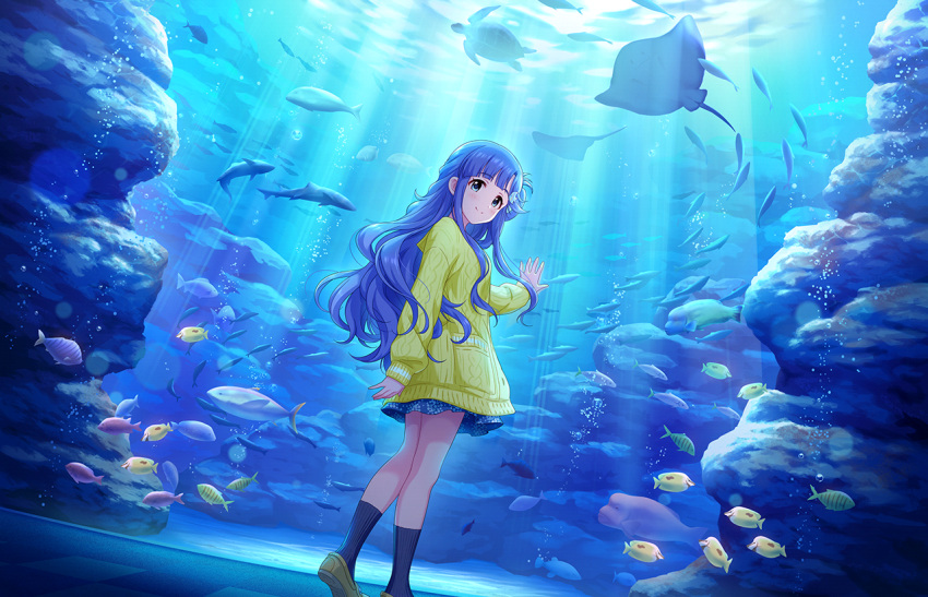 Safebooru - asari nanami blue eyes blue hair blush dress idolmaster cinderella girls starlight ...