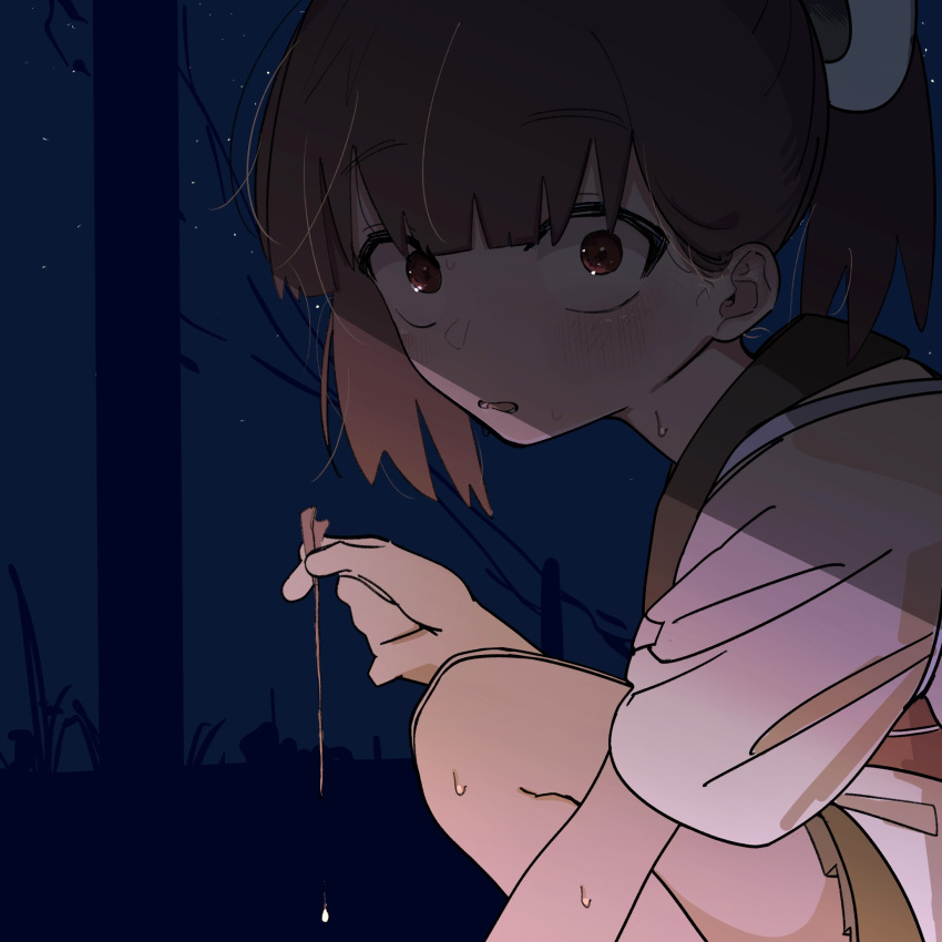 Safebooru 1girl Brown Eyes Brown Hair Commentary Constricted Pupils 9270