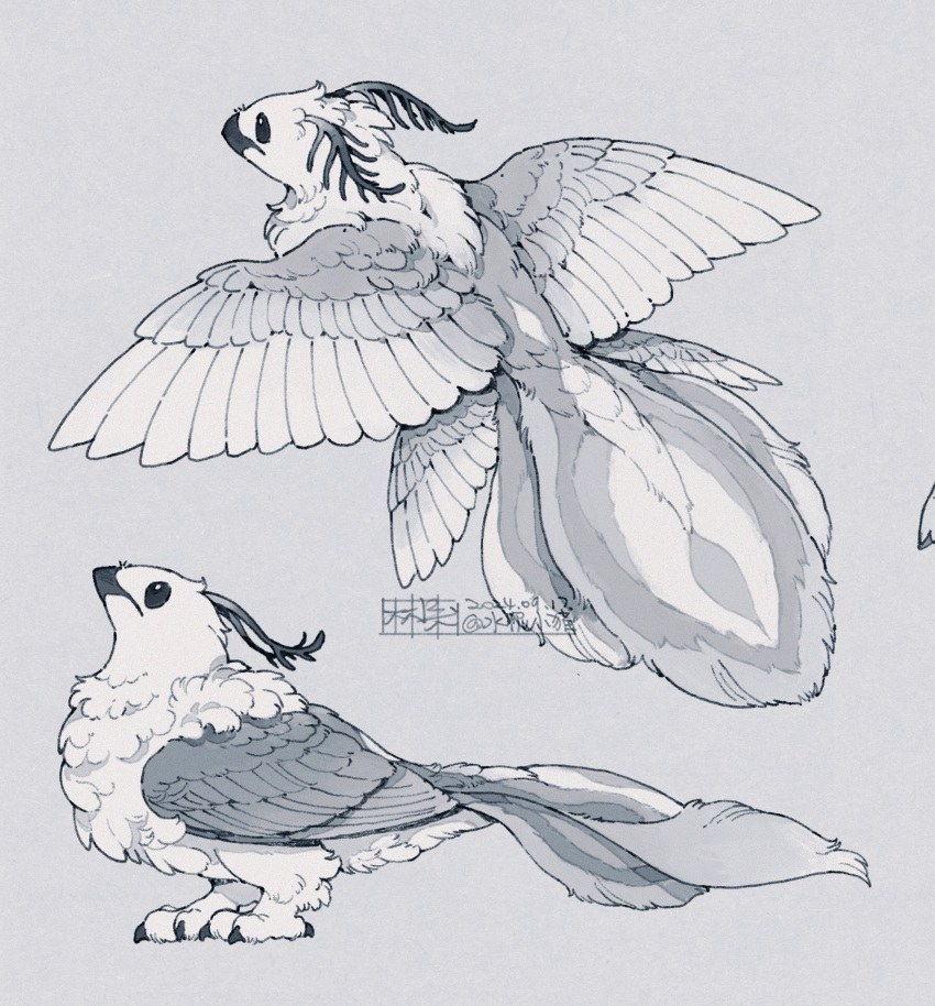 Safebooru - animal focus antennae artist name beak bird wings black eyes creature dated full ...