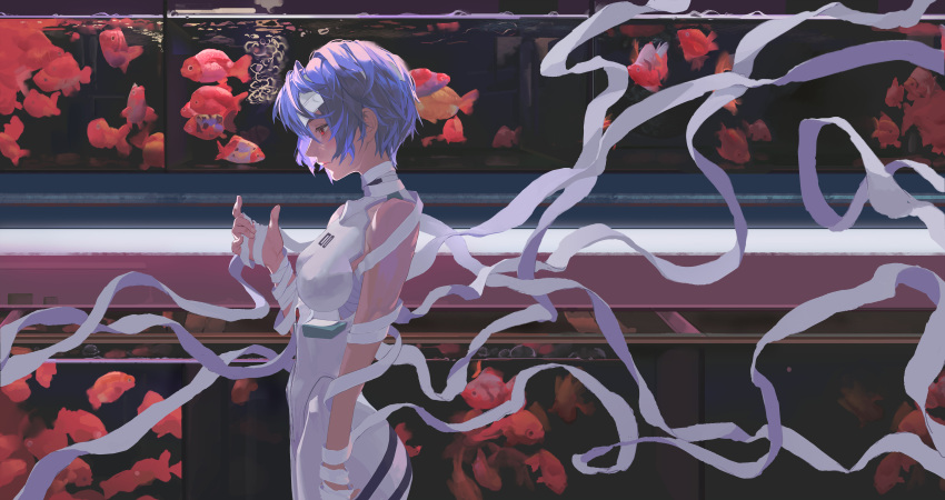Safebooru - 1girl absurdres ayanami rei bandages blue hair bodysuit fish fish tank from side ...