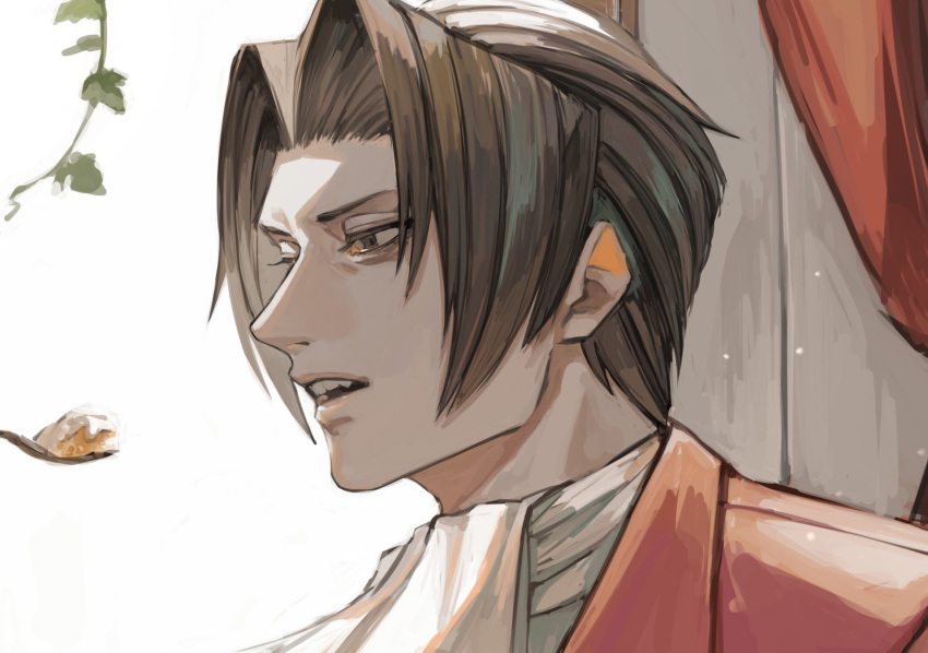 Safebooru - 1boy ace attorney ascot cake commentary request curtains ...