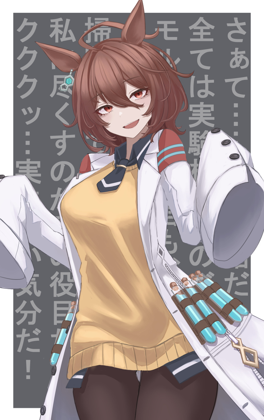 Safebooru - 1girl absurdres agnes tachyon (umamusume) ahoge animal ears black shirt border ...