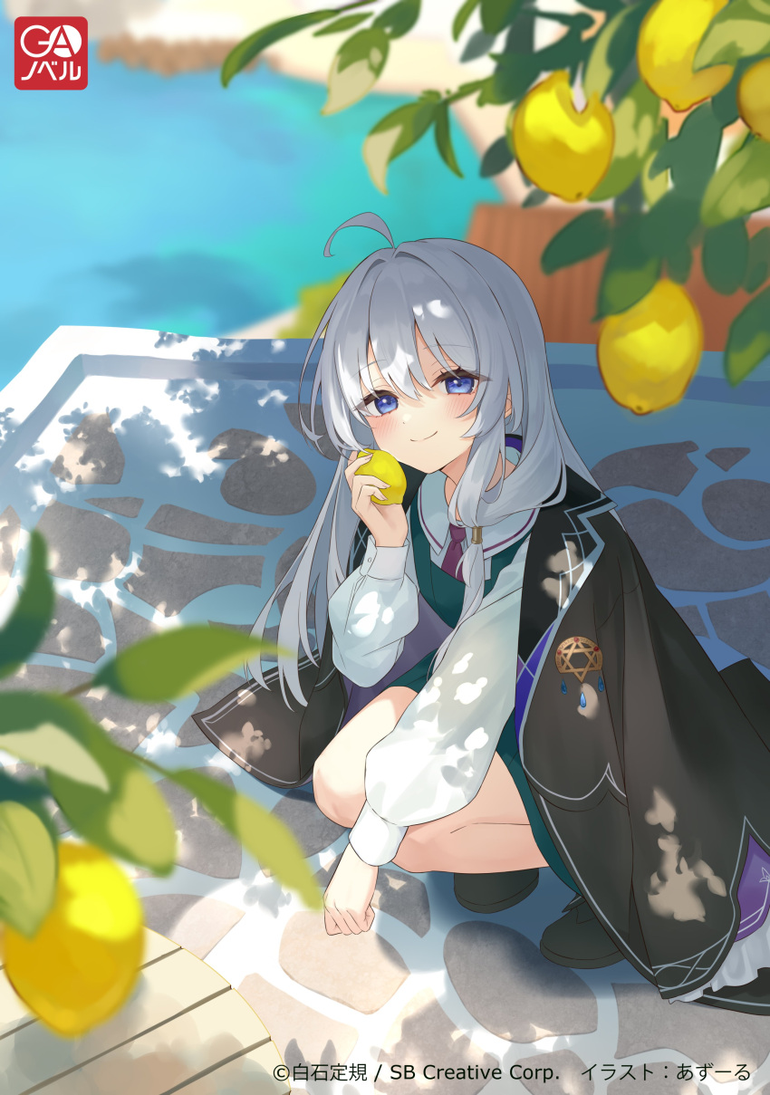 Safebooru - 1girl absurdres ahoge azuuru black coat black shoes blue ...