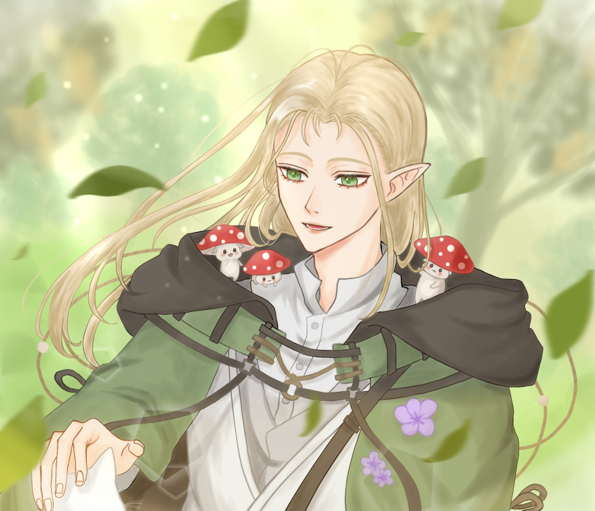 Safebooru - 1boy aloysius (shining nikki) black hood blonde hair ...