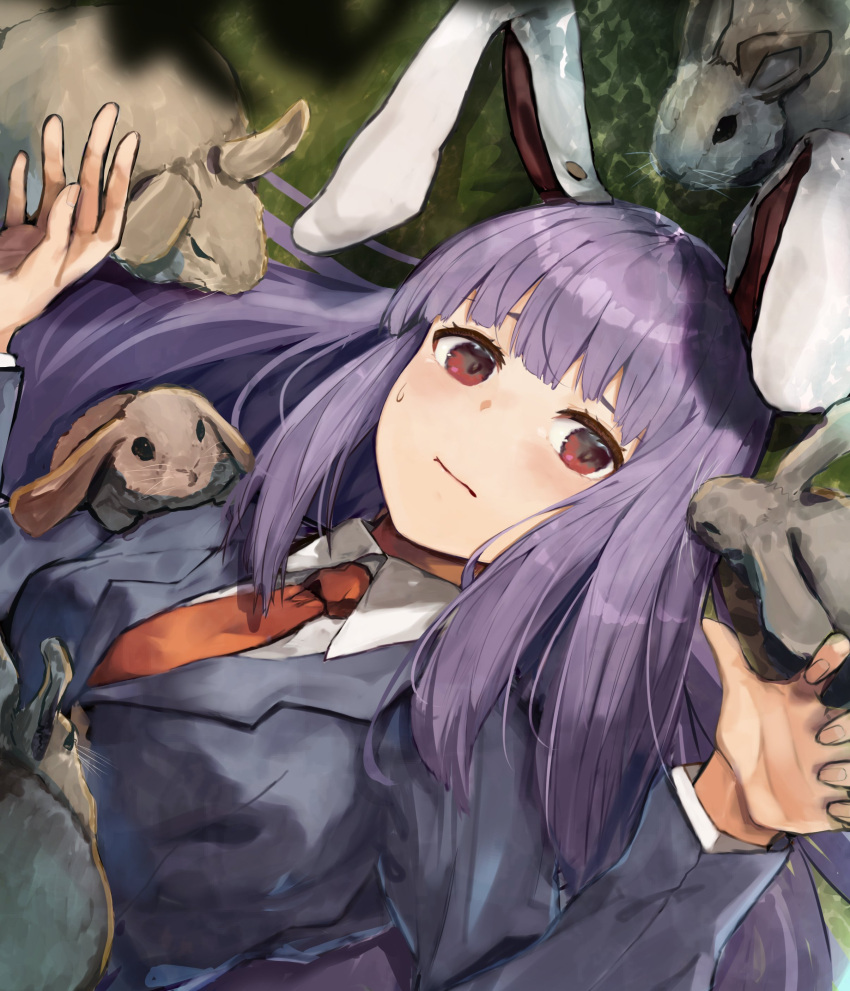 Safebooru - 1girl absurdres animal ears bangs blazer blouse buttons ...