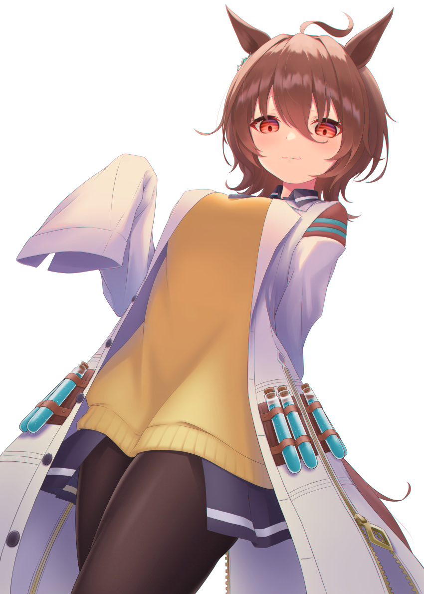 Safebooru - 1girl absurdres agnes tachyon (umamusume) ahoge animal ears black legwear black ...