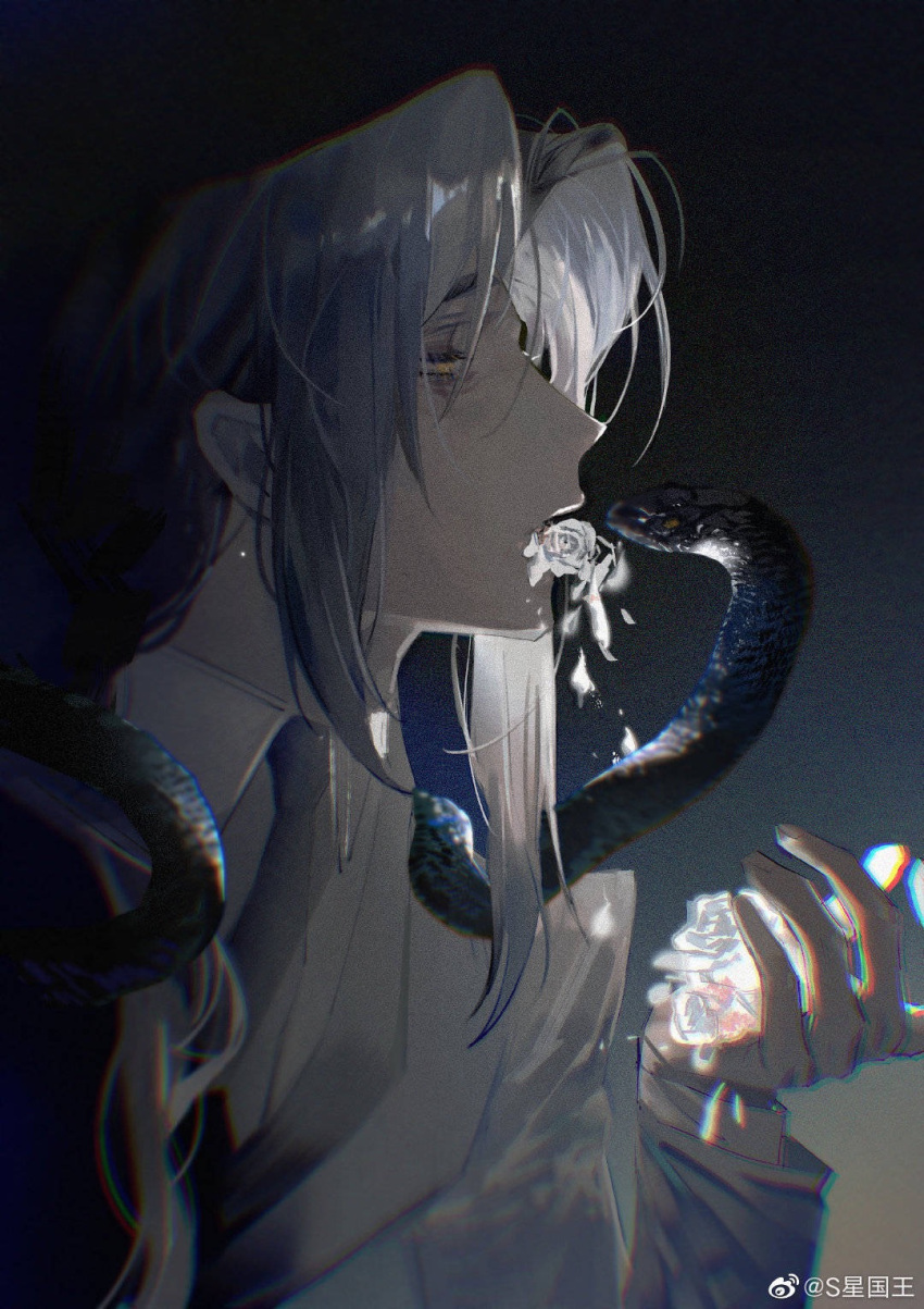 Safebooru - 1boy angel animal on shoulder azik eggers bangs black hair dark dark skin ears ...