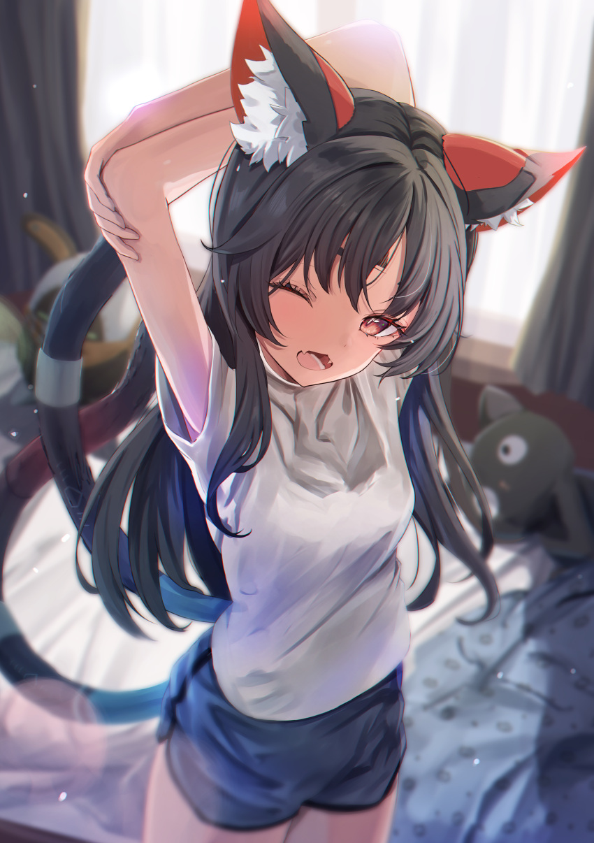 Safebooru - 1girl absurdres animal ear fluff animal ears bed sheet black hair black shorts brown ...