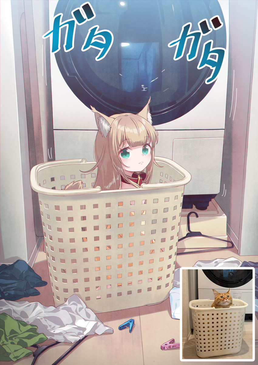 Safebooru - 1girl 40hara animal ear fluff animal ears basket blonde hair cat ears cat girl cat ...