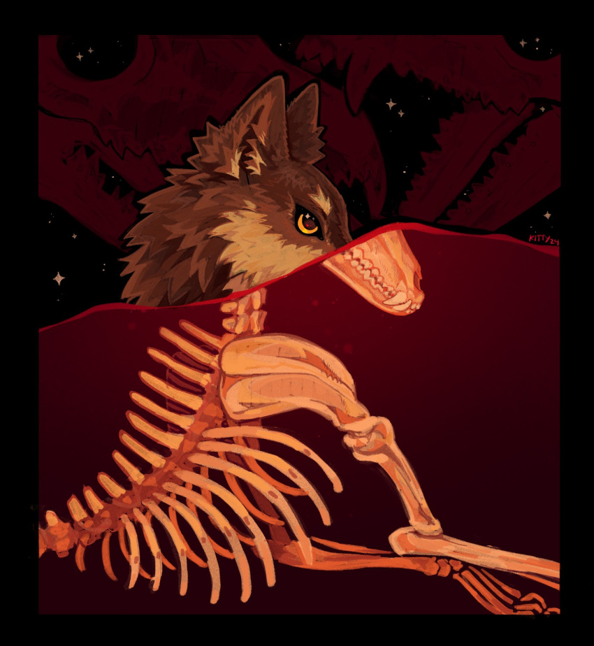 Safebooru - animal animal focus animal skull black border border ...