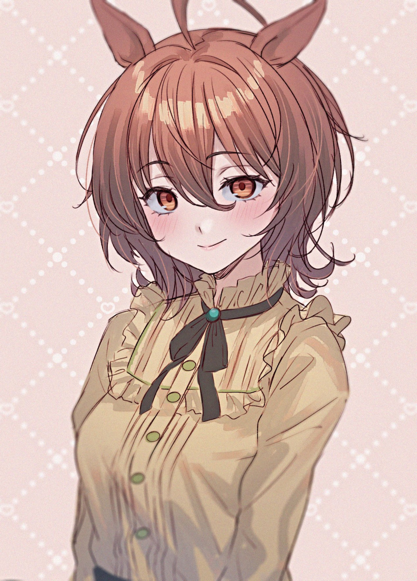 Safebooru - 1girl agnes tachyon (umamusume) ahoge animal ears bangs blush brown eyes brown hair ...