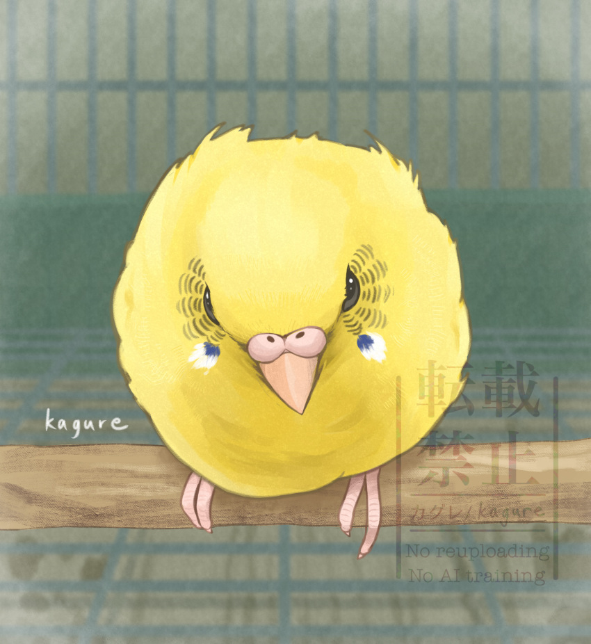 Safebooru - animal focus artist name black eyes budgerigar (bird) commentary request full body ...