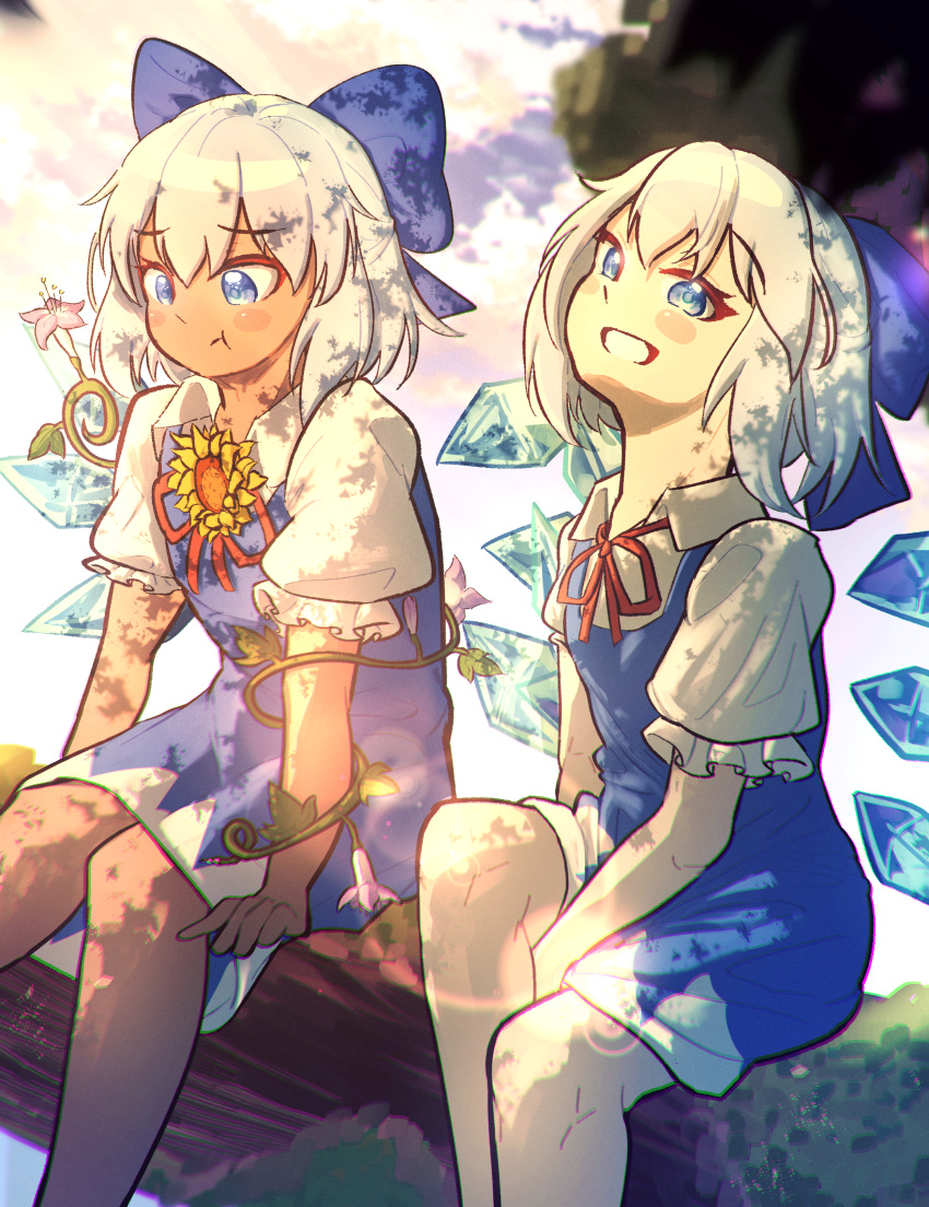 Safebooru - 2girls absurdres blue eyes blue ribbon branch cirno hair ribbon highres multiple ...