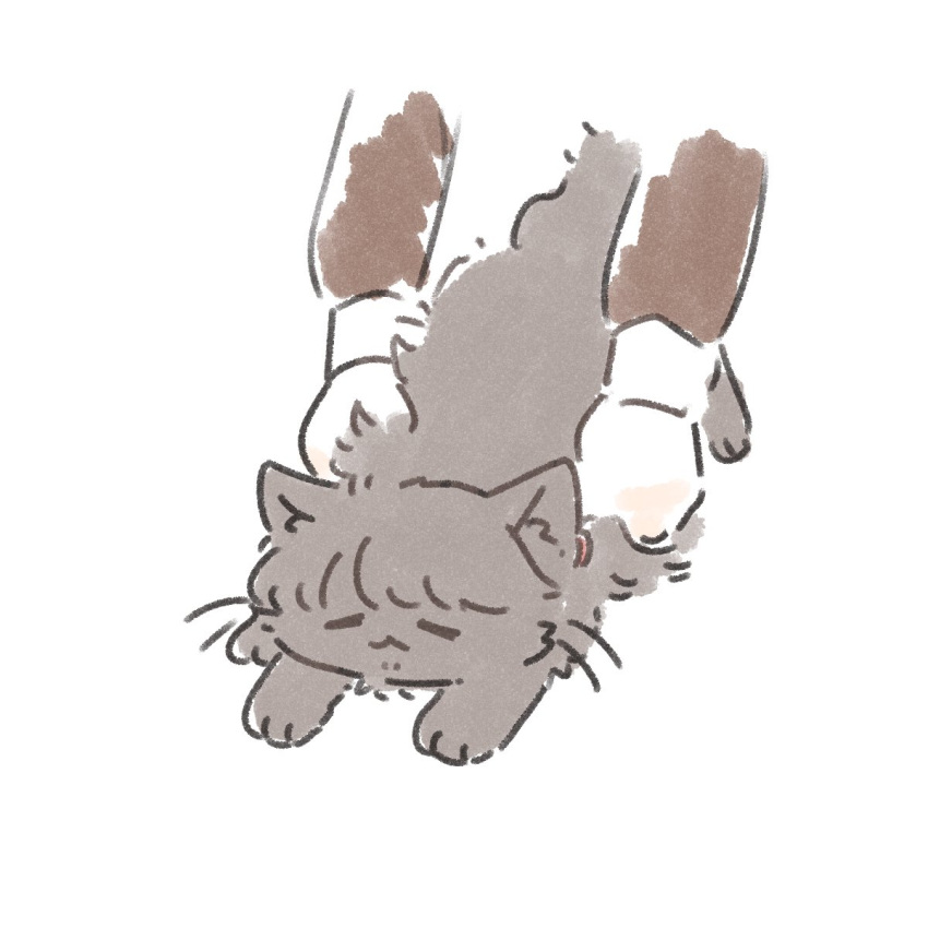 Safebooru - 1girl :3 animal animal focus animalization ao kaeru cat ...