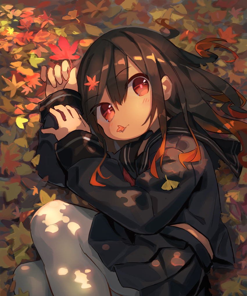 Safebooru - 1girl autumn leaves black hair black serafuku cloneko (zelmeledf2) ginkgo leaf ...