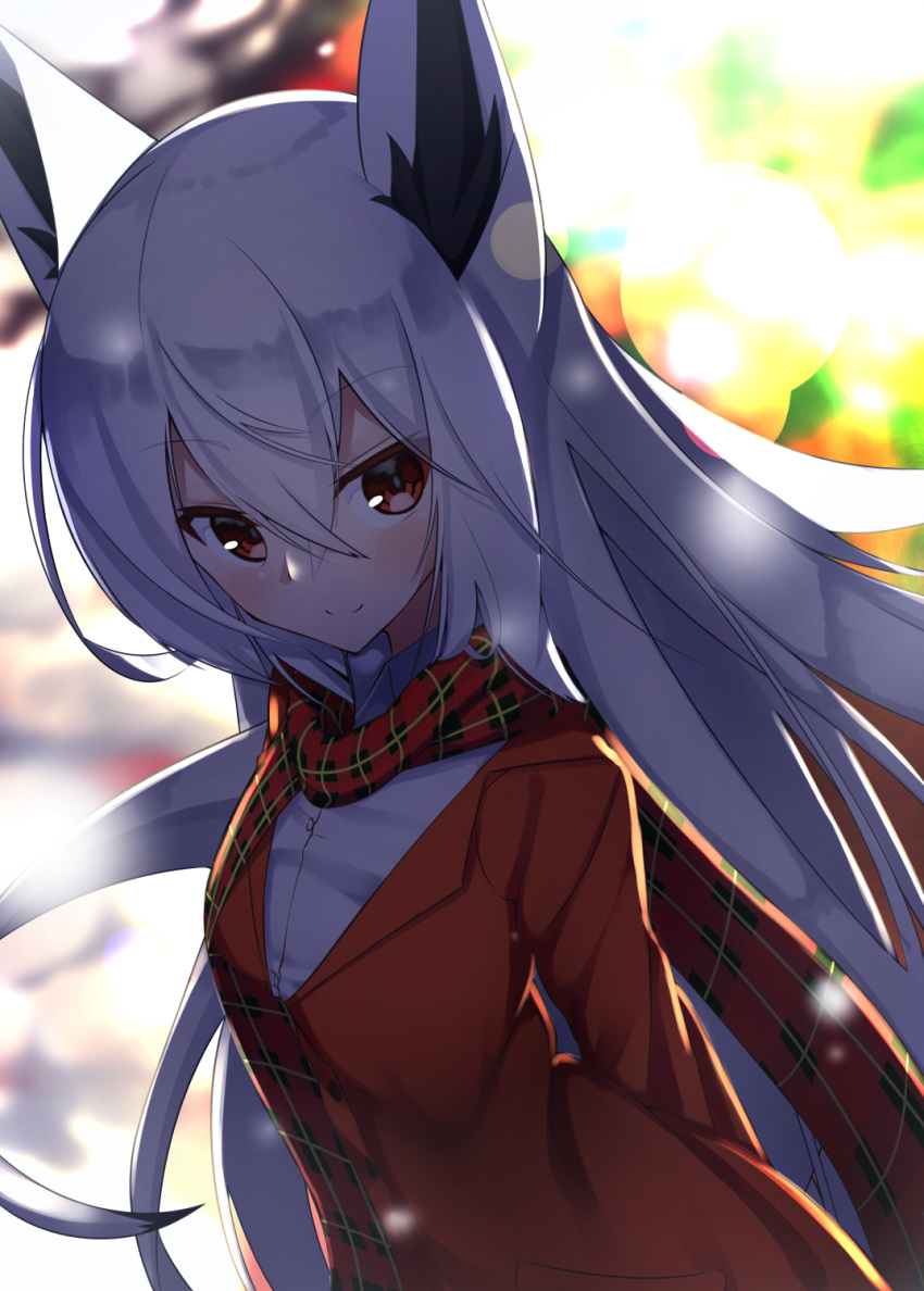Safebooru - 1girl animal ear fluff animal ears fox ears fox girl grey ...