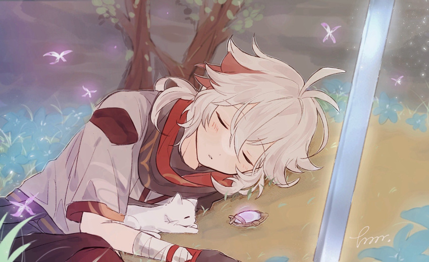 Safebooru - 1boy animal bandaged arm bandages bangs black gloves blush bug butterfly cat closed ...