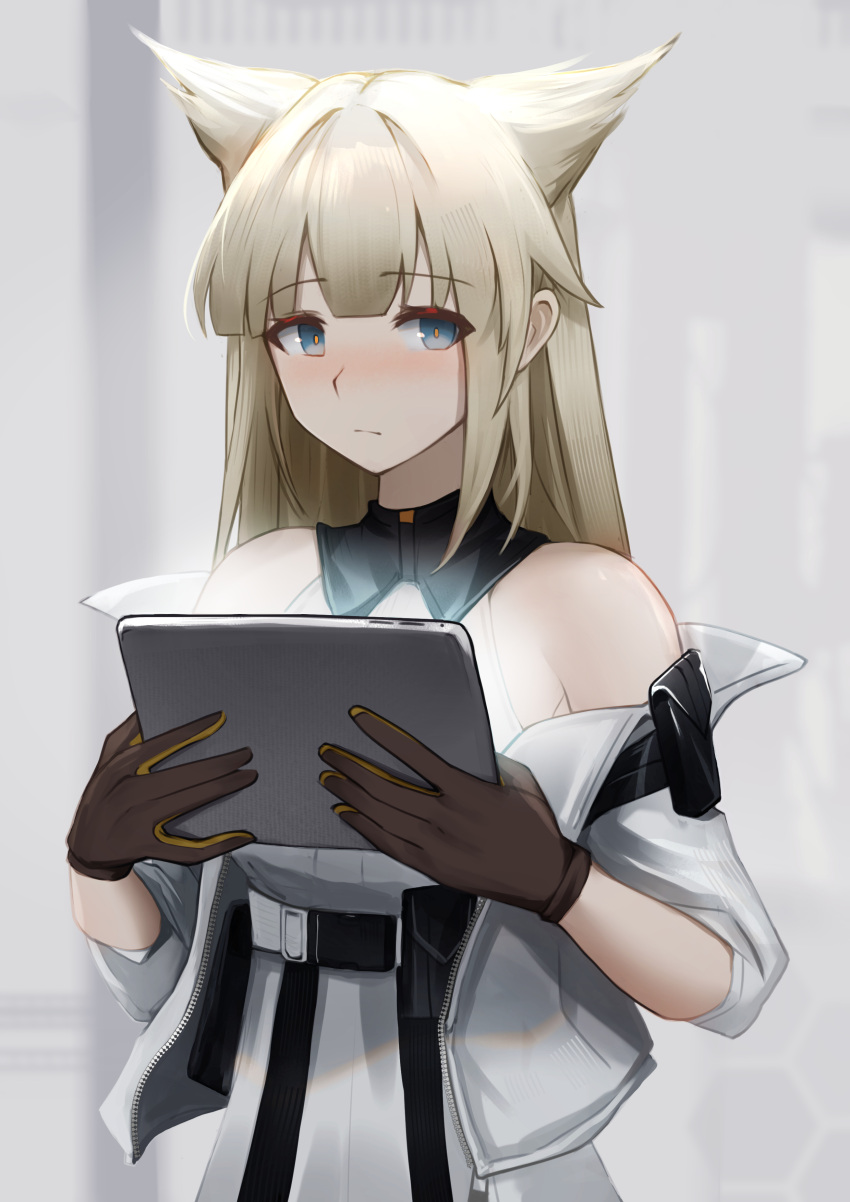 Safebooru - 1girl absurdres animal ears arknights arknights: endfield ...