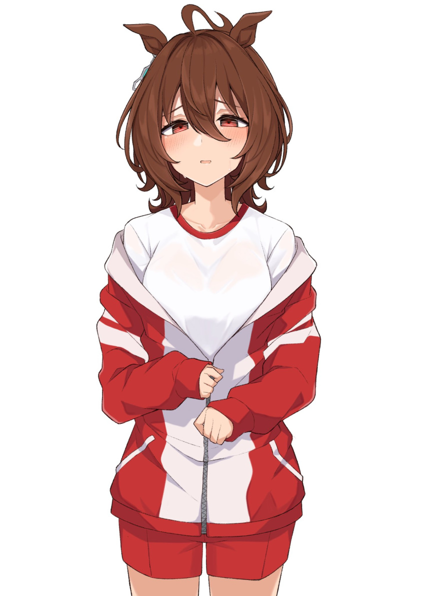 Safebooru - 1girl agnes tachyon (umamusume) ahoge alternate costume animal ears bangs blush ...