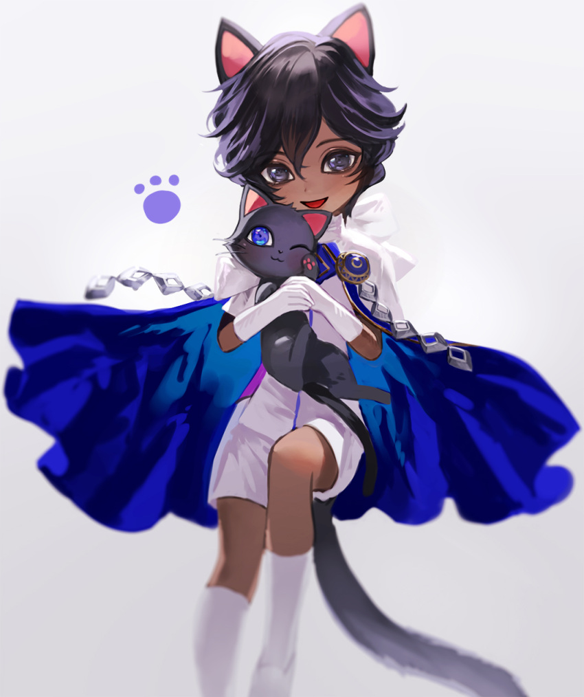 Safebooru - 1boy animal animal ears arjuna (fate) bangs black cat black eyes blue cape blue eyes ...