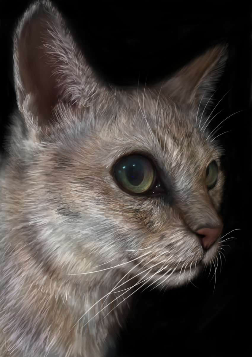 Safebooru - absurdres animal animal focus black background cat closed mouth commentary green ...