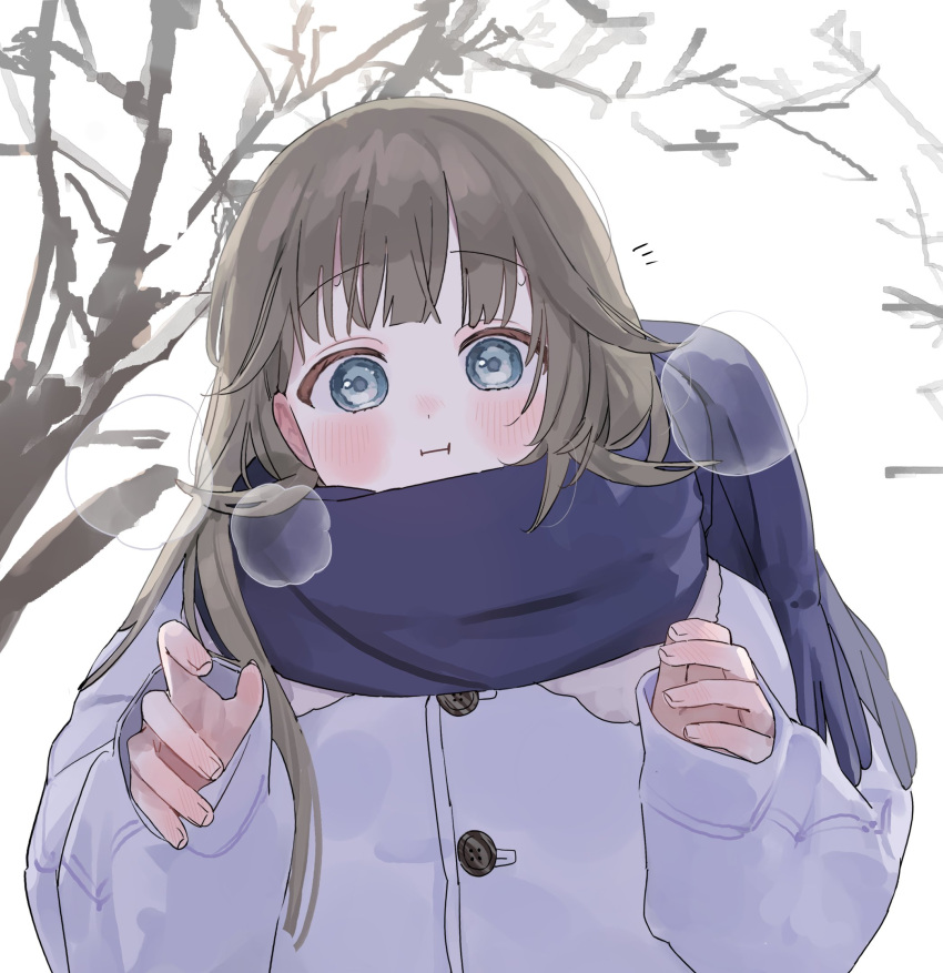 Safebooru - 1girl alternate costume backlighting blue eyes blue scarf ...