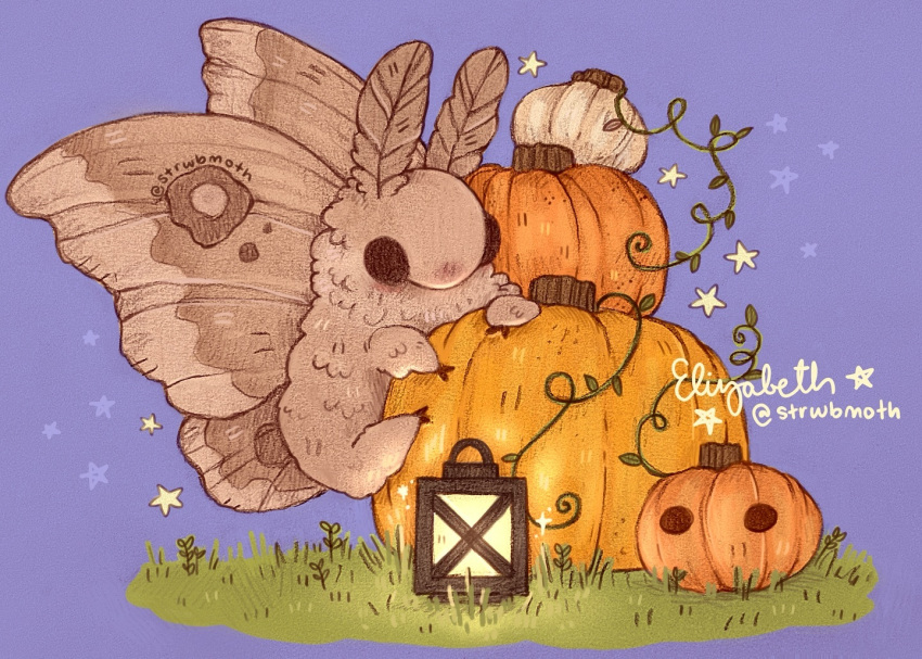 Safebooru - animal focus artist name bug commentary elizabeth (strwbmoth) english commentary ...