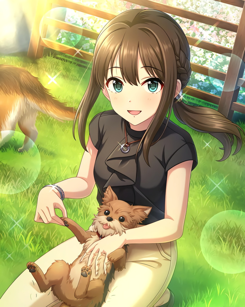 Safebooru - black hair blush breasts dog green eyes hanako (idolmaster ...