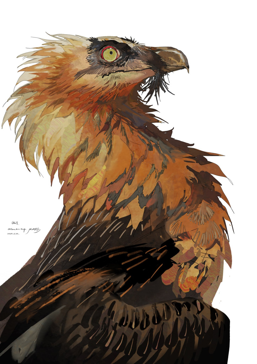 Safebooru - animal animal focus bird from side highres kamikiririp no humans original profile ...