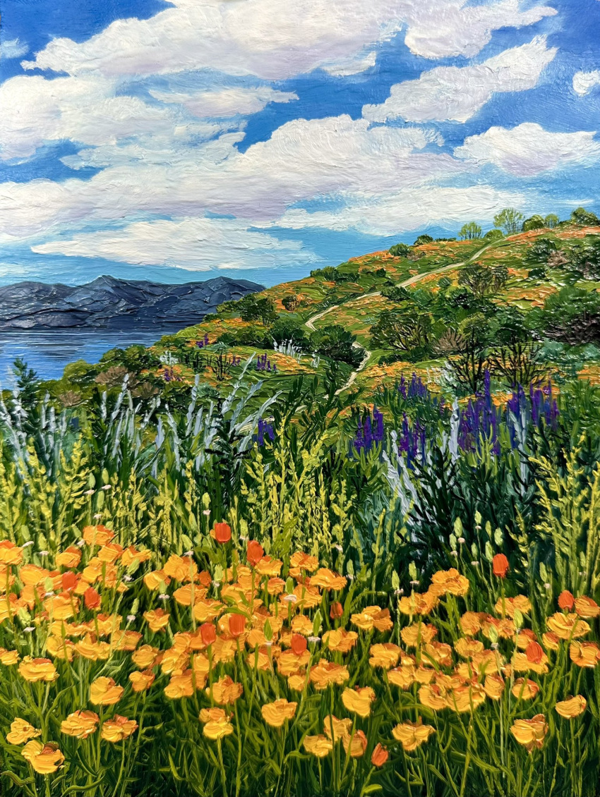 Safebooru - blue flower blue sky california clouds cloudy sky ...