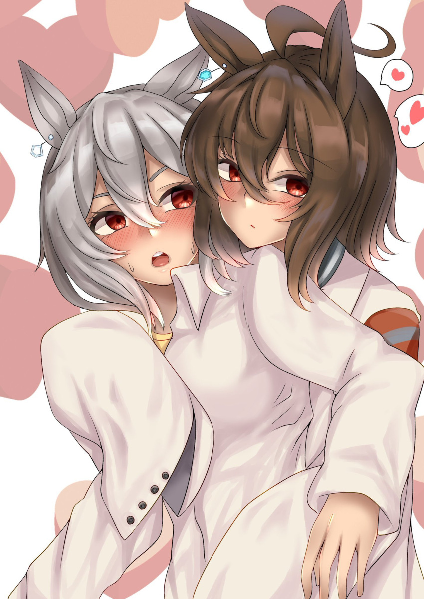 Safebooru - 2girls agnes tachyon (umamusume) ahoge animal ears blush brown hair collared shirt ...
