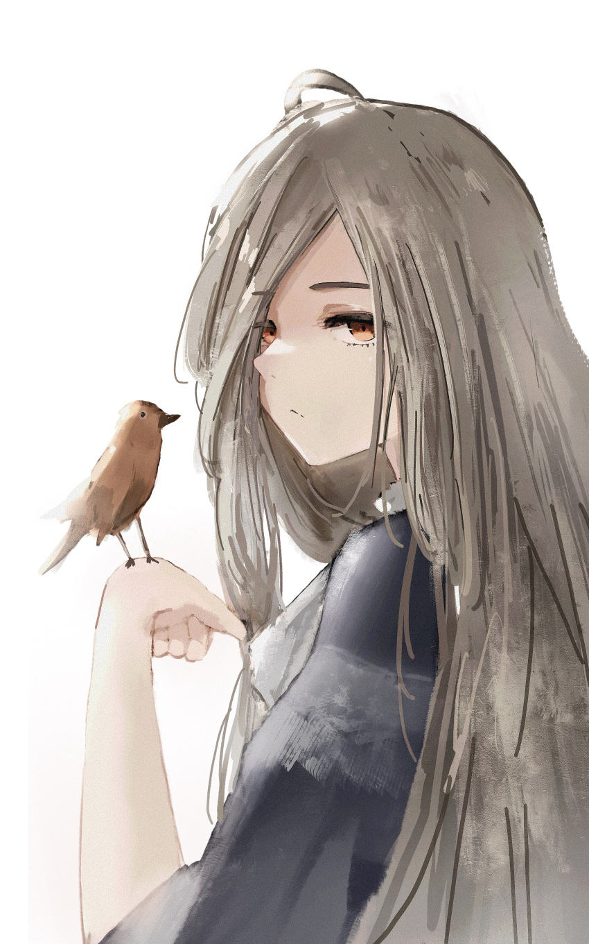 Safebooru - 1girl absurdres ahoge bird bird on hand blonde hair blue ...