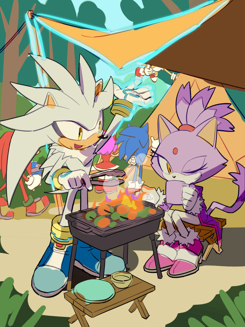 Safebooru - 2girls 4boys absurdres amy rose blaze the cat bowl cooking ...