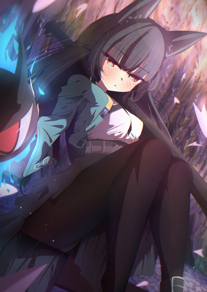 Safebooru - 1girl absurdres animal ear fluff animal ears aqua jacket black hair black pantyhose ...