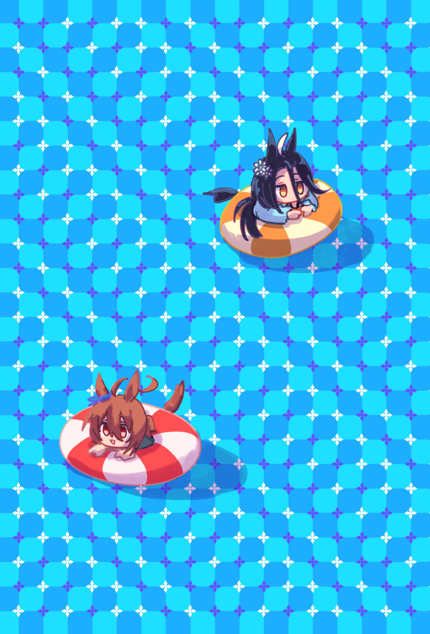 Safebooru - 2girls absurdres agnes tachyon (umamusume) ahoge animal ears blue ribbon ear ribbon ...