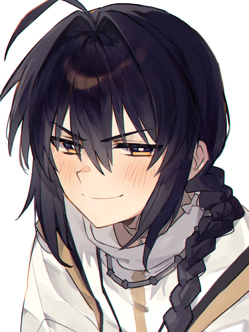 Safebooru - 1other ahoge androgynous black hair braid close-up fate ...