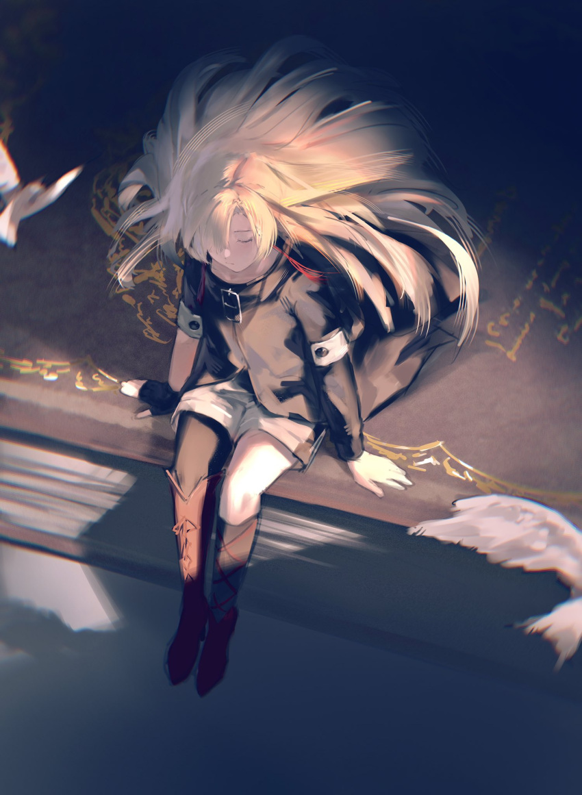 Safebooru 1girl Bird Black Coat Black Gloves Black Socks Black 4929