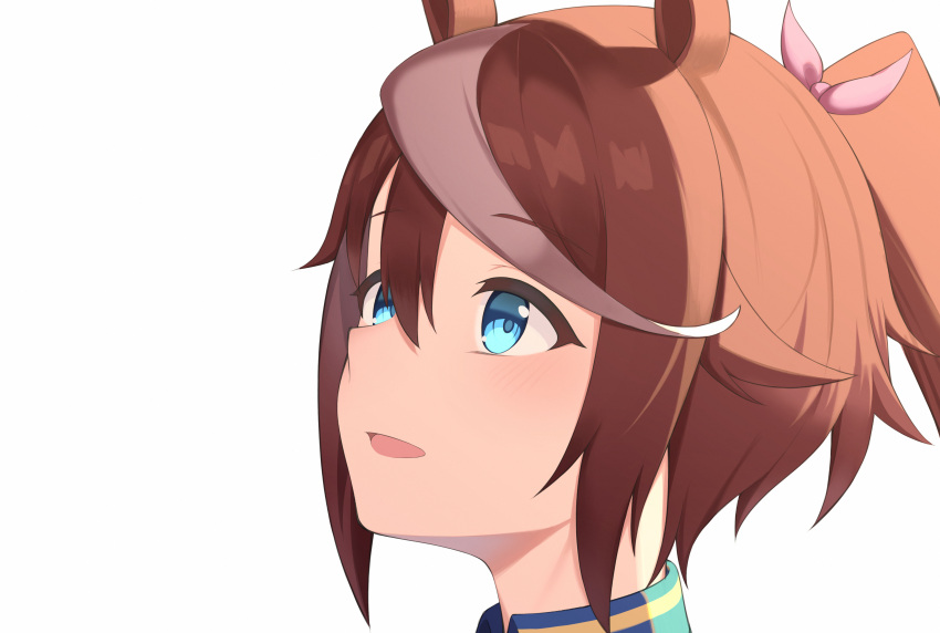 Safebooru - 1girl :d absurdres animal ears bangs blue eyes brown hair ...