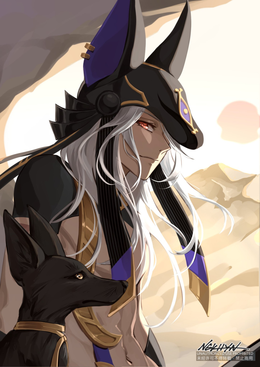 Safebooru - 1boy abs animal animal ears animal hat arabian clothes ...