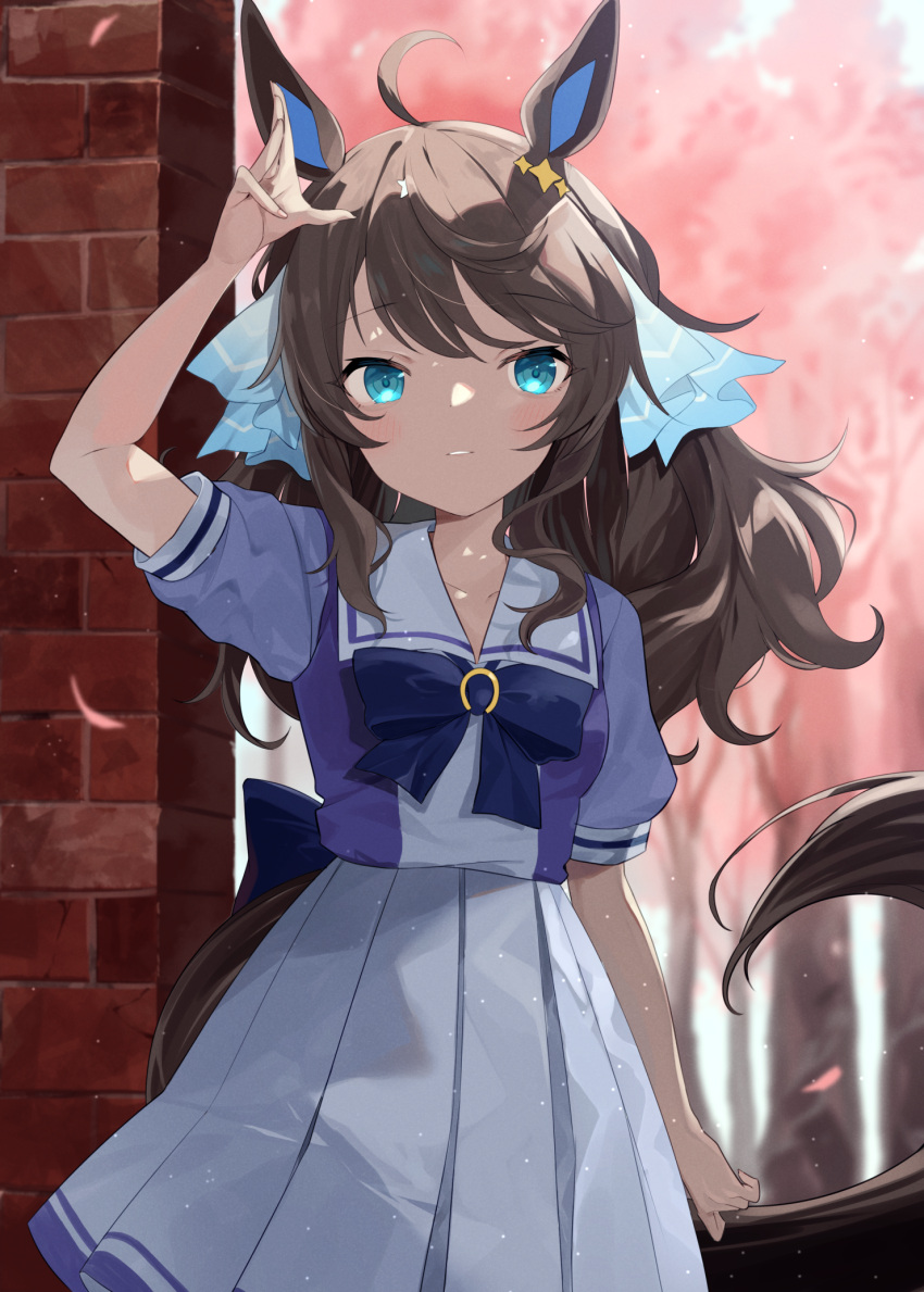 Safebooru - 1girl agaki anko ahoge animal ears arm up black hair blue eyes blurry blurry ...