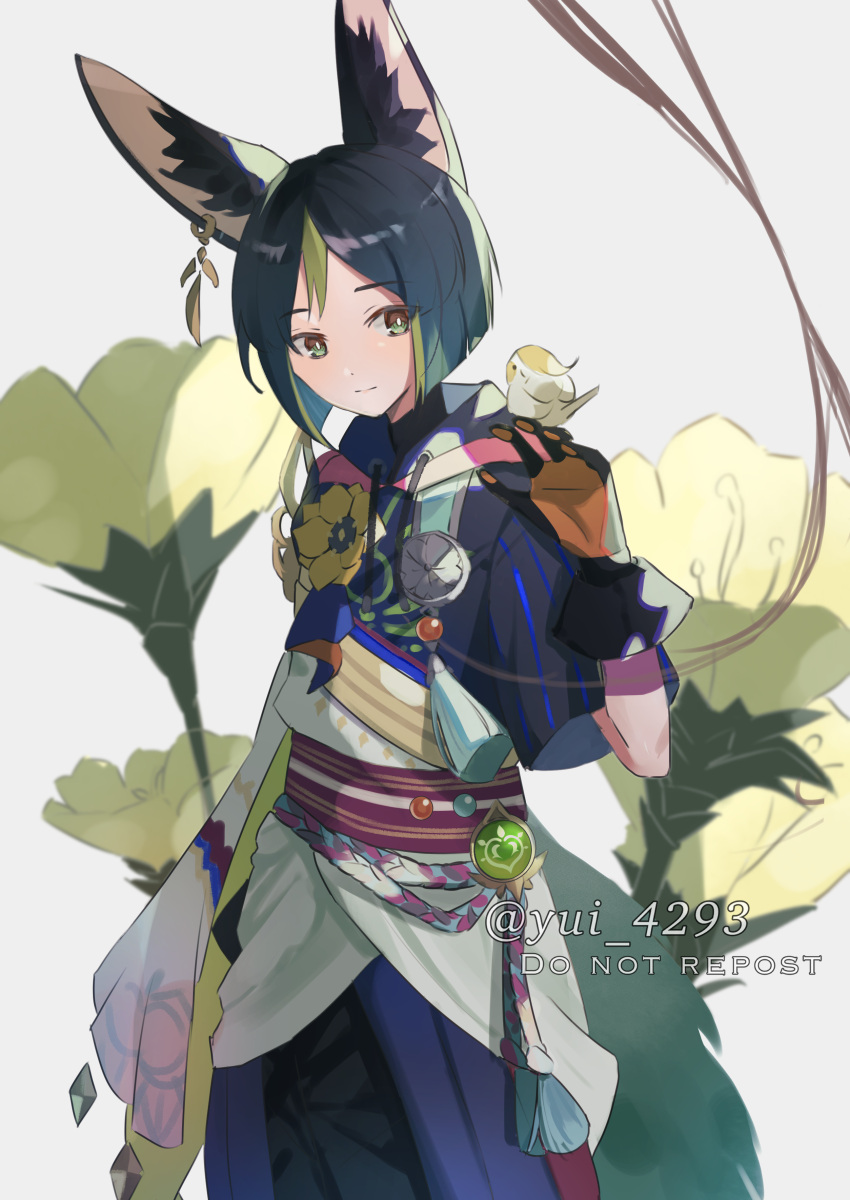 Safebooru - 1boy absurdres animal ears animal on shoulder bird bird on ...