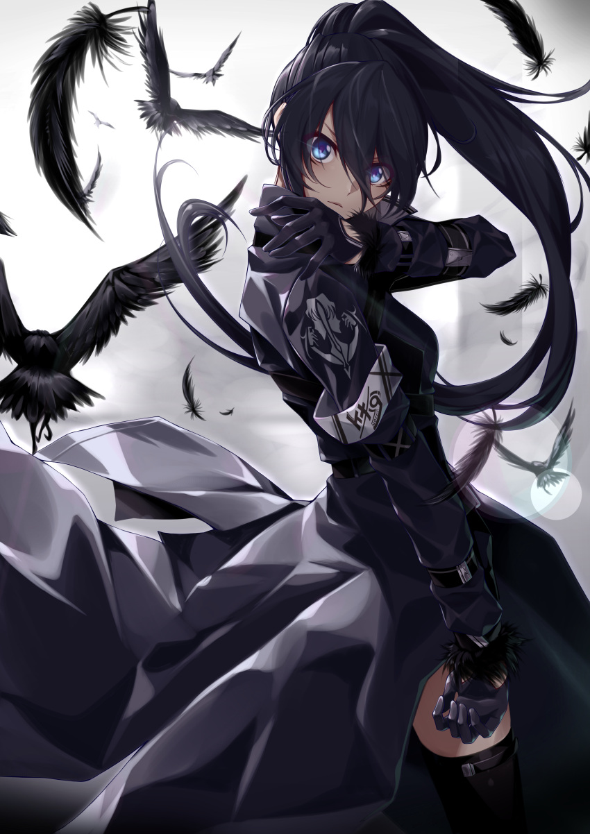 Safebooru - 1girl absurdres bangs bird black coat black gloves black hair black thighhighs blue ...