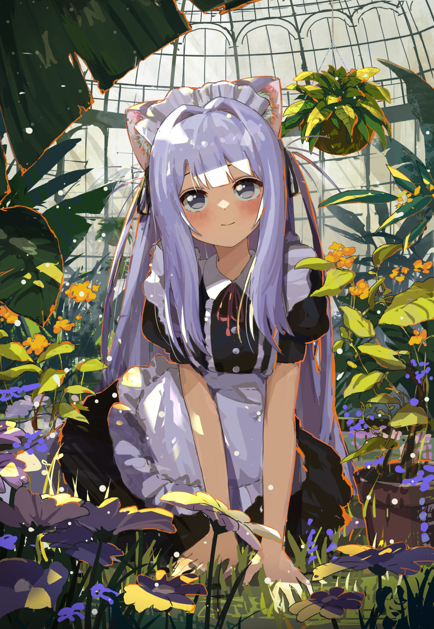 Safebooru - 1girl absurdres animal ear fluff animal ears apron bangs black dress black ribbon ...