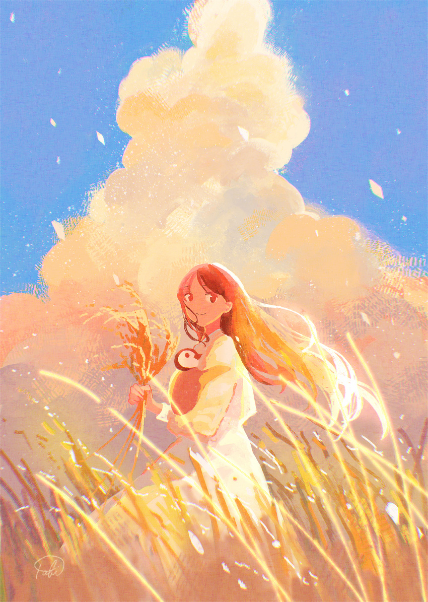 Safebooru - 1girl animal barley bird blue sky brown eyes brown hair carrying closed mouth clouds ...