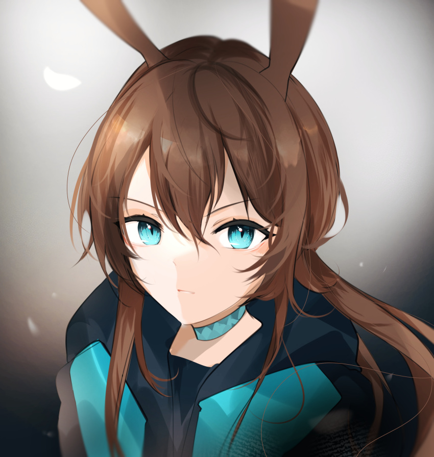 Safebooru - 1girl absurdres amiya (arknights) animal ears arknights black jacket blue collar ...