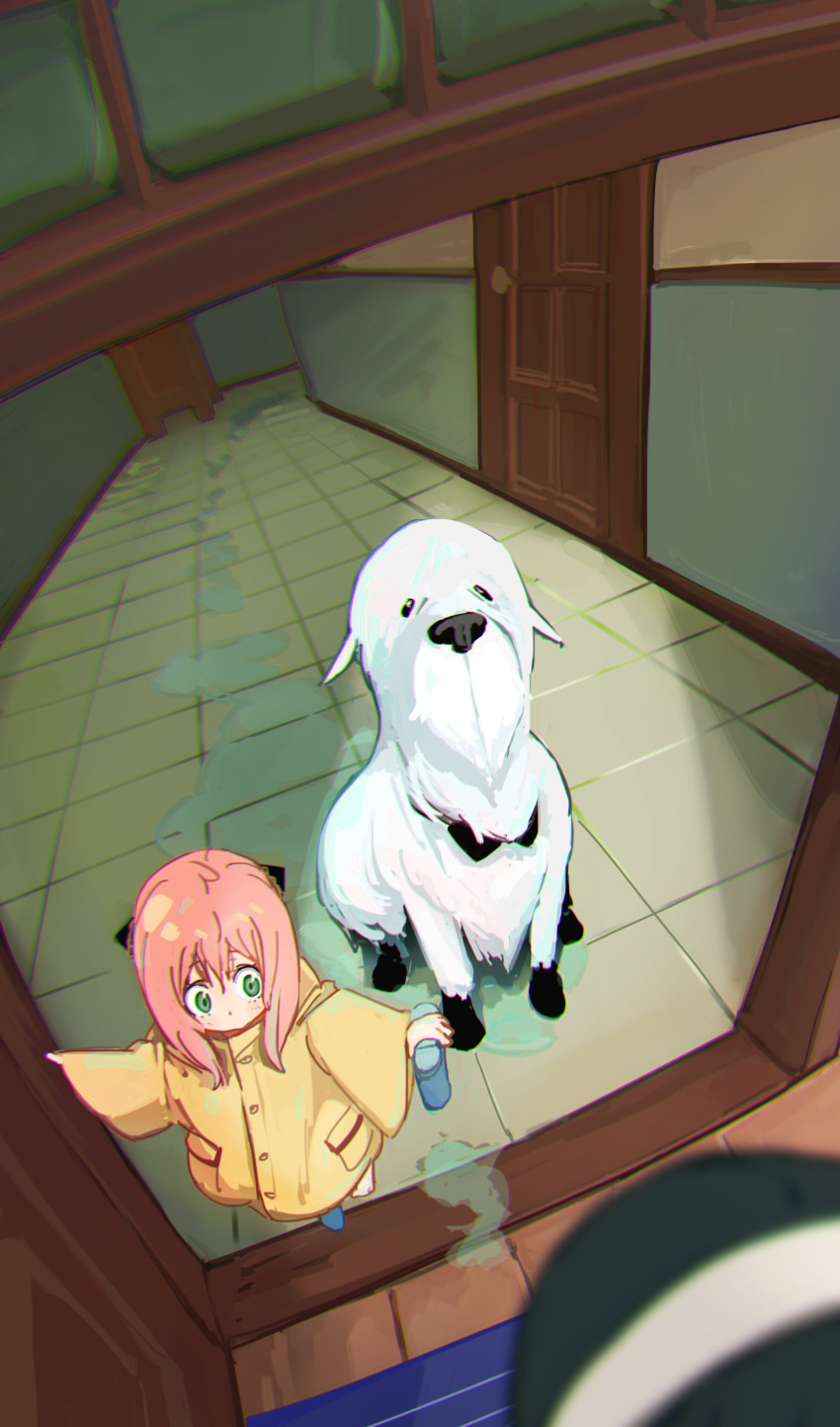 Safebooru - 2girls absurdres ahoge animal ears anya (spy x family) arms up bangs barefoot black ...