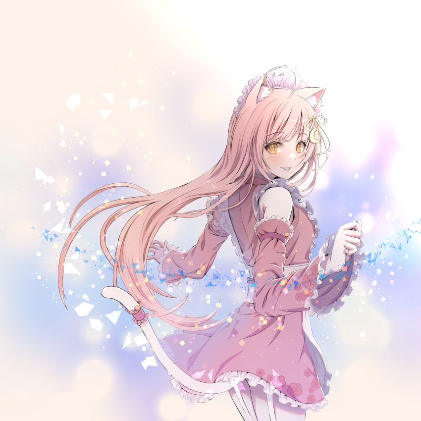 Safebooru - 1girl absurdres animal ear fluff animal ears bangs bare shoulders cat ears cat tail ...