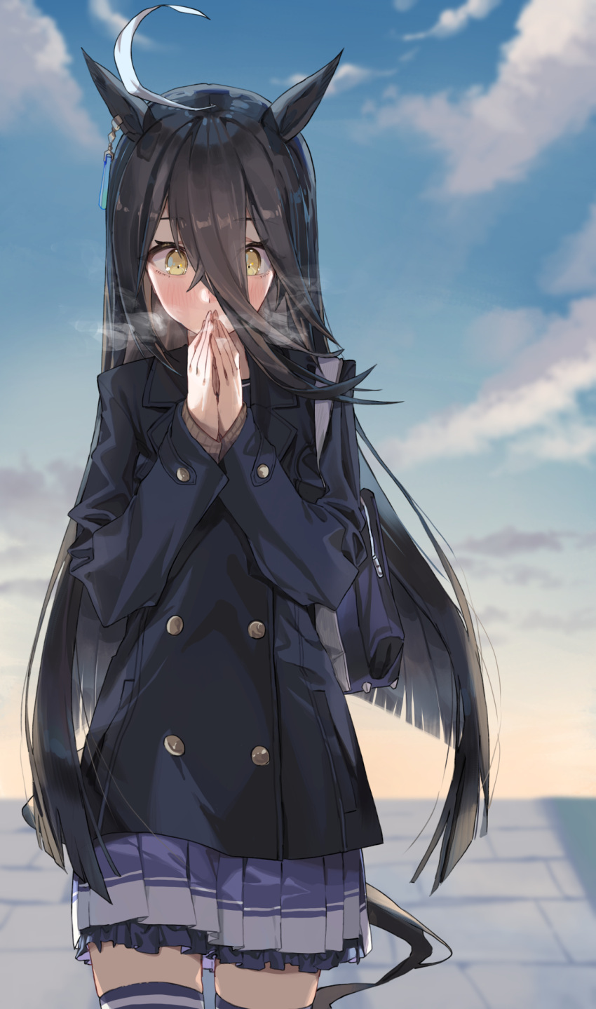 Safebooru - 1girl ahoge amano kokoko animal ears bag blazer blue skirt blue sky blurry blurry ...