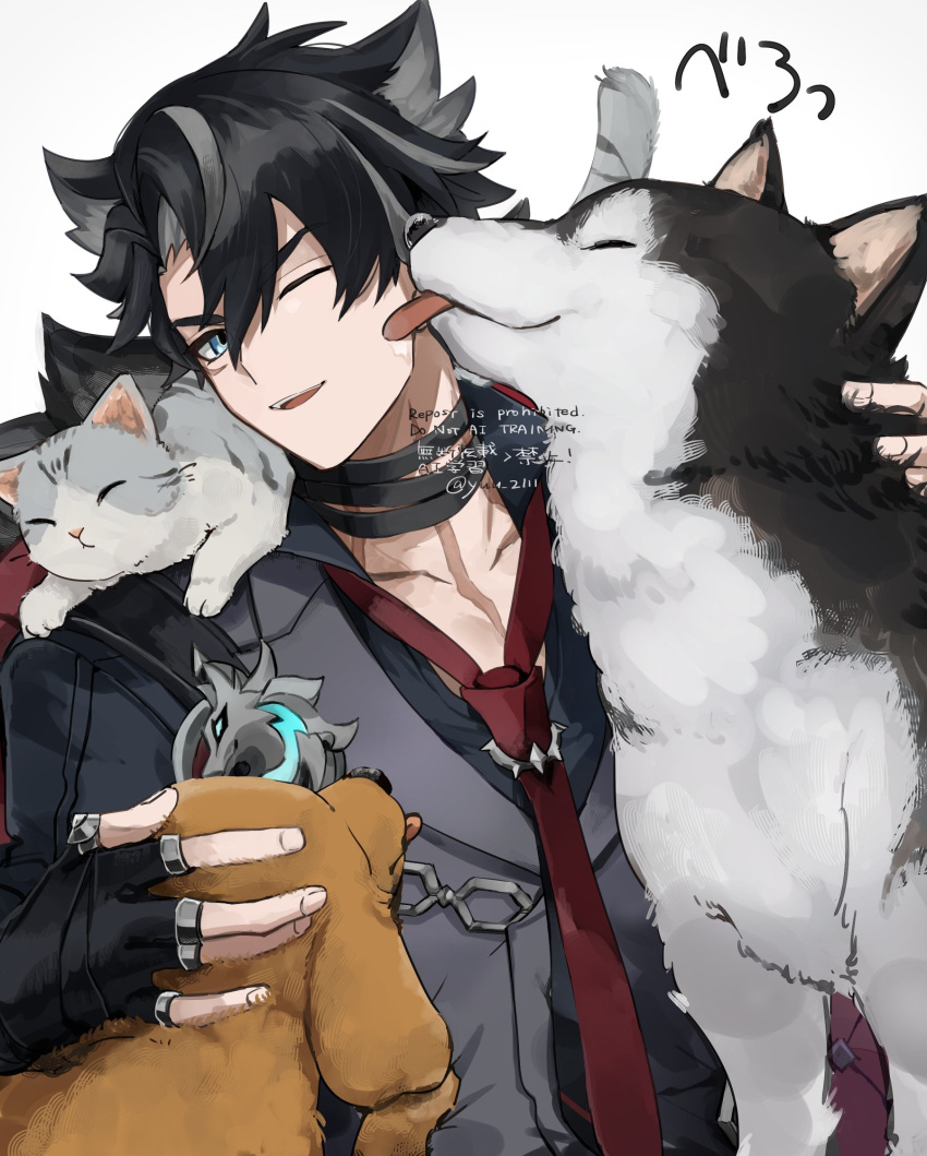 Safebooru - 1boy animal on shoulder artist name bandaged neck bandages black gloves black hair ...